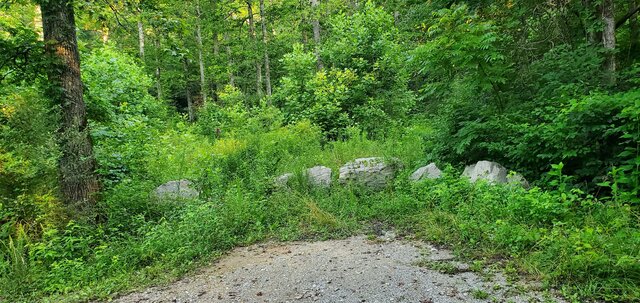 Sylco Campground Reviews updated 2025