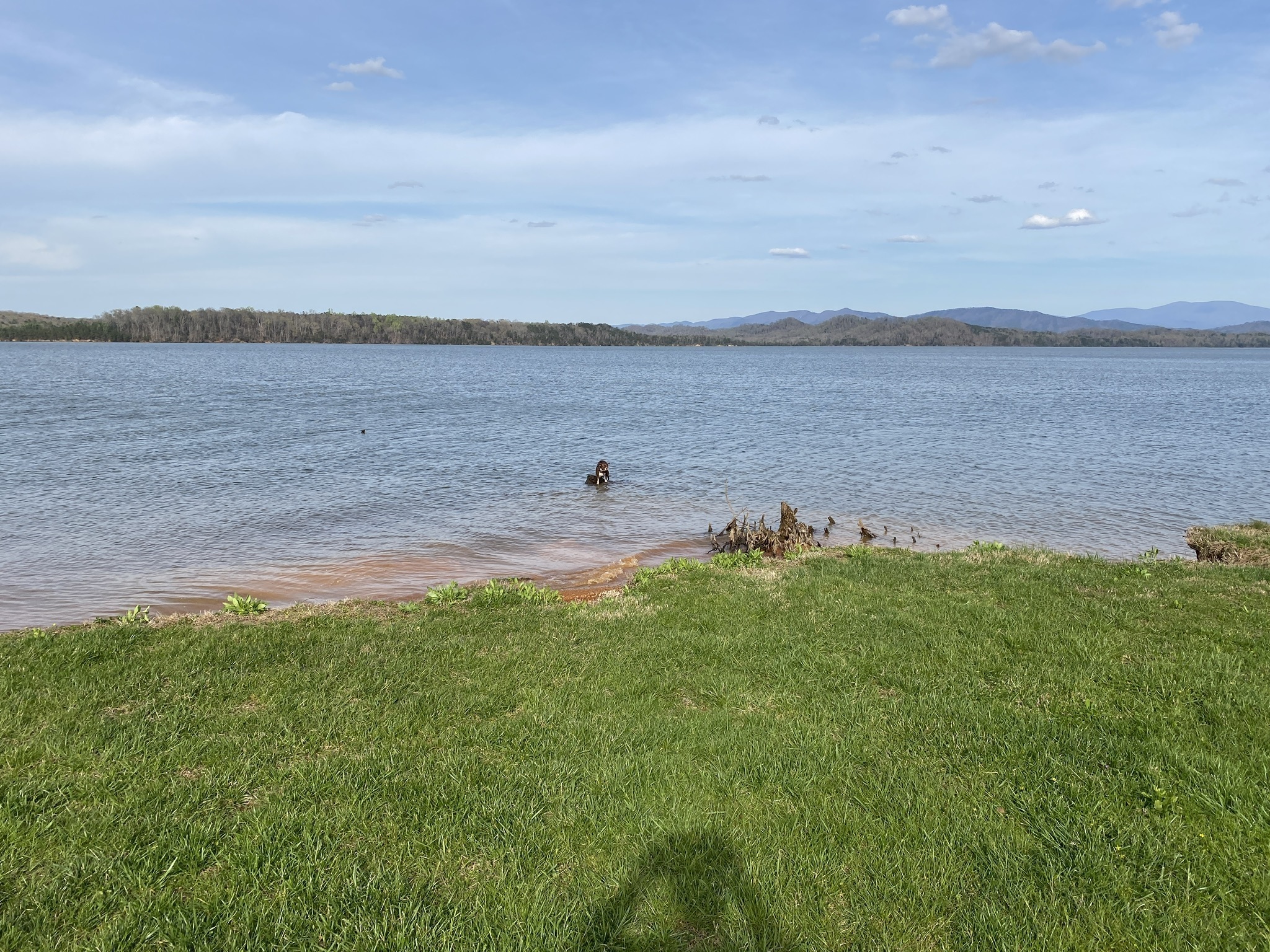 Toqua RV Campground Reviews & Reservations updated 2025