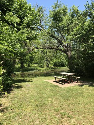 Berry Springs Park & Preserve Reviews updated 2021