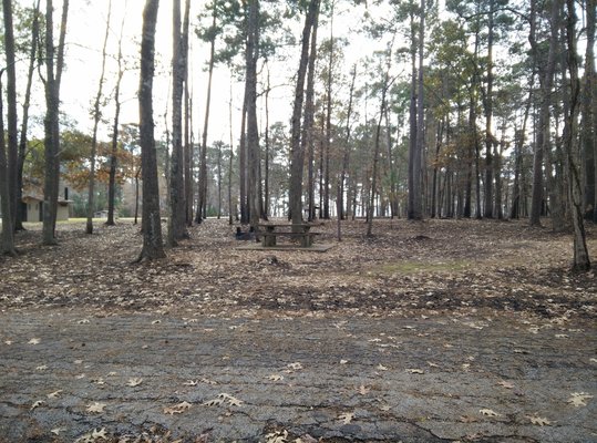 Caney Creek Recreation Area Reviews updated 2020