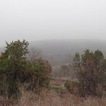 Cedar Hill State Park Reviews - Campendium