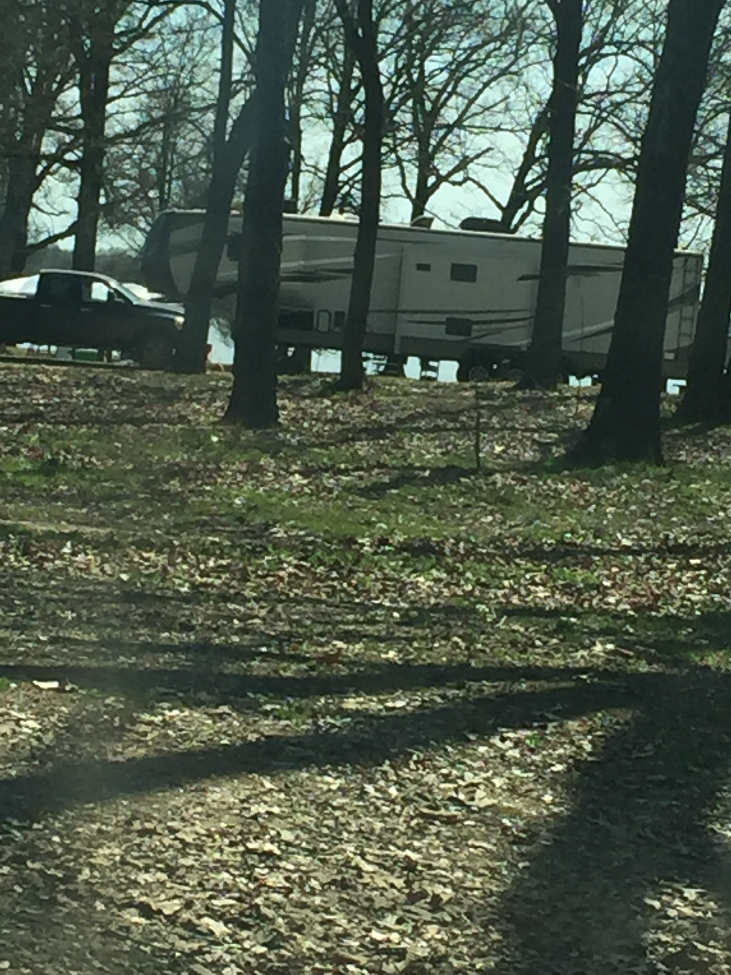 Coffee Mill Lake Primitive Camping Reviews updated 2026
