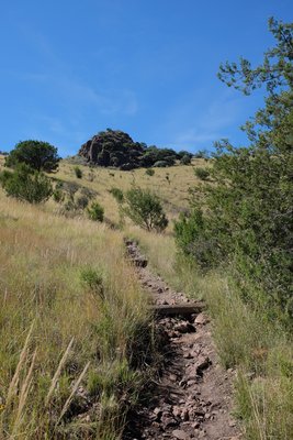 Davis Mountains State Park Reviews updated 2019