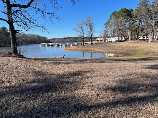 Kelly Creek Landing Park Campground Reviews & Reservations updated 2025