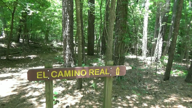 Mission Tejas State Park Campground Reviews updated 2025