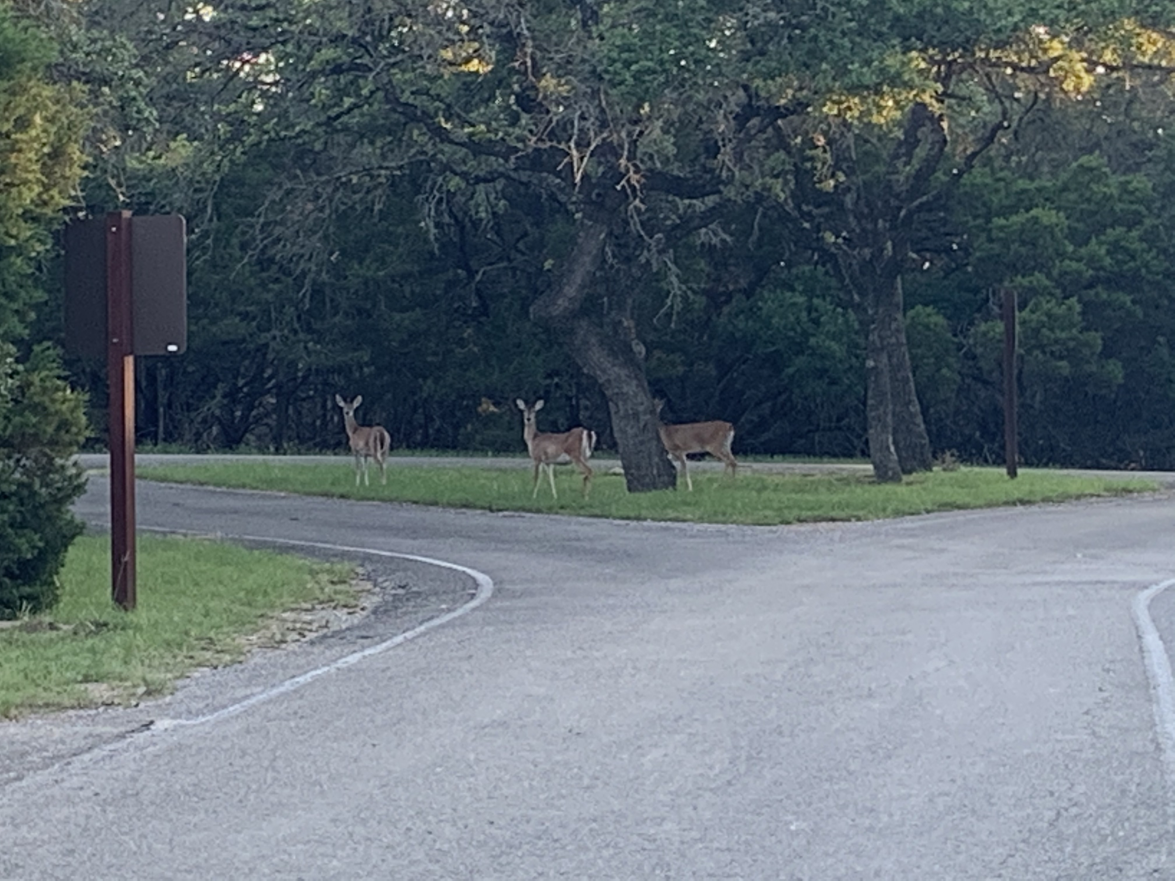 Russell Park Tent Campground Reviews updated 2025