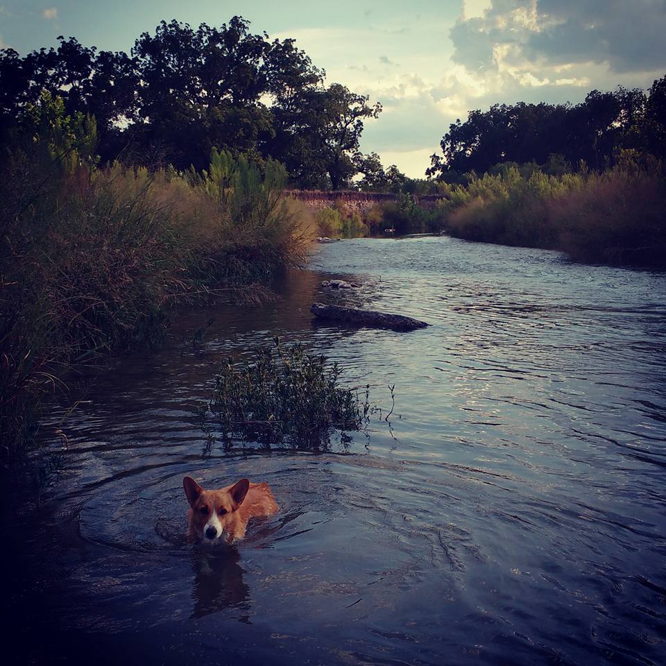 Photo of South Llano River State Park Campground | Roadtrippers