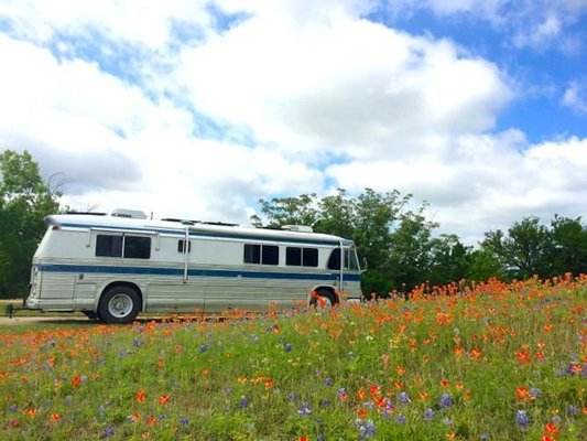 Taylor Park Campground Reviews updated 2025