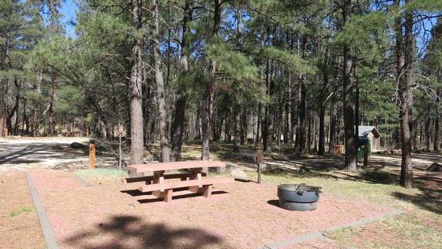 Blue Ridge Campground Reviews updated 2020