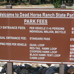 Dead Horse Ranch State Park Reviews - Campendium