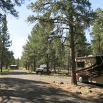 Kaibab National Forest Camping: 41 Campgrounds in Kaibab National Forest - Campendium
