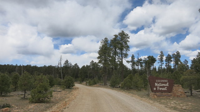 Knoll Lake Campground Reviews