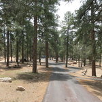 Mather Campground Reviews - Campendium