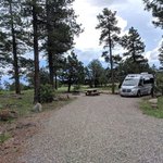 Mingus Mountain Campground Reviews - Campendium