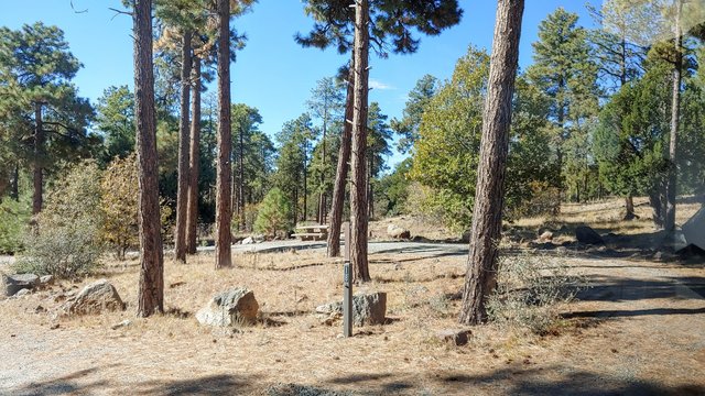 Mingus Mountain Campground Reviews updated 2025