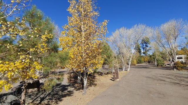 Potato Patch Campground Reviews updated 2021