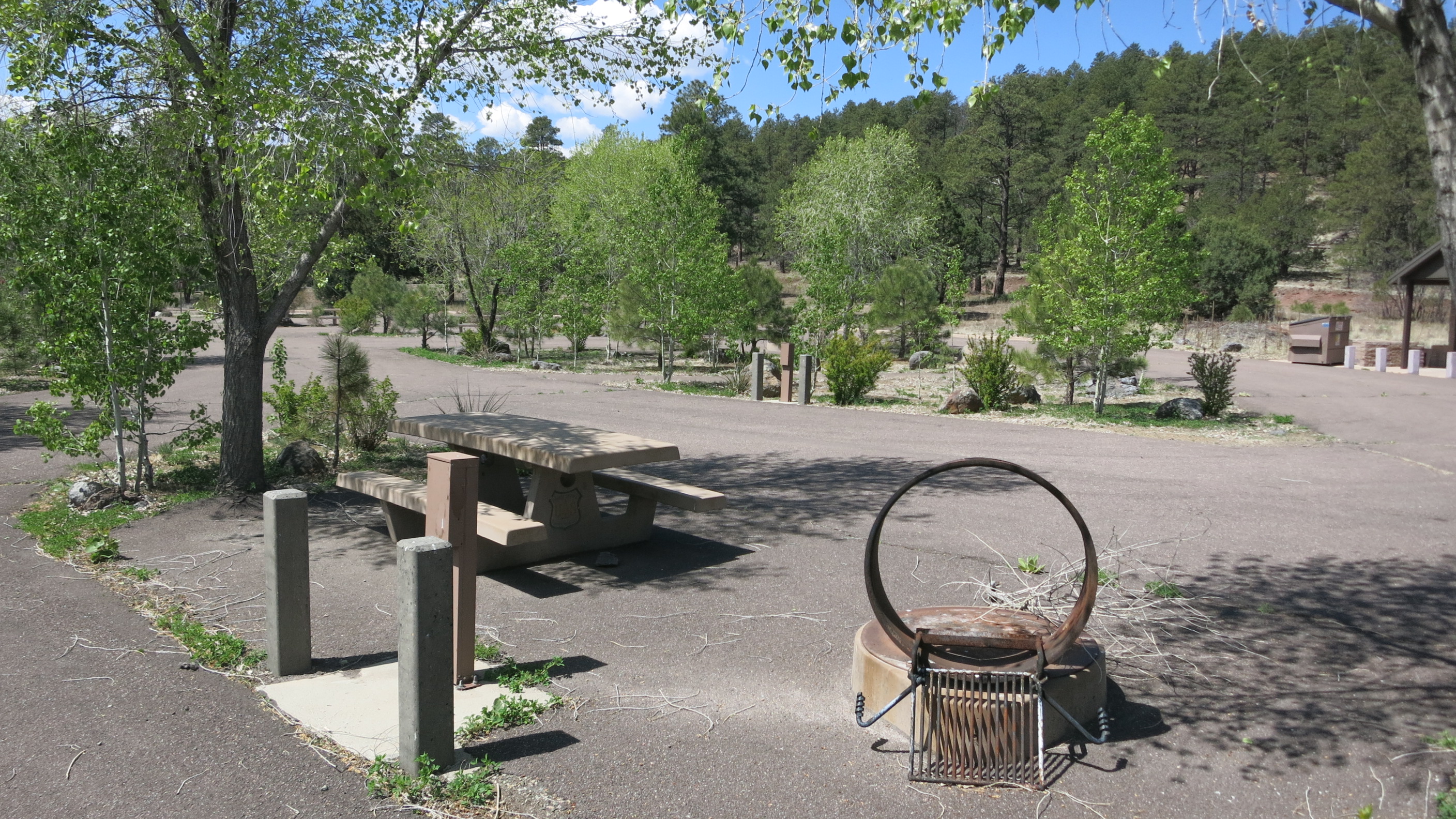 Potato Patch Campground Reviews updated 2025