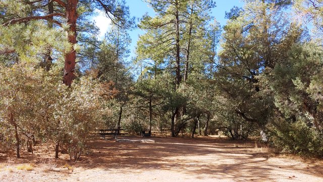 Timber Camp Recreation Site Reviews updated 2025