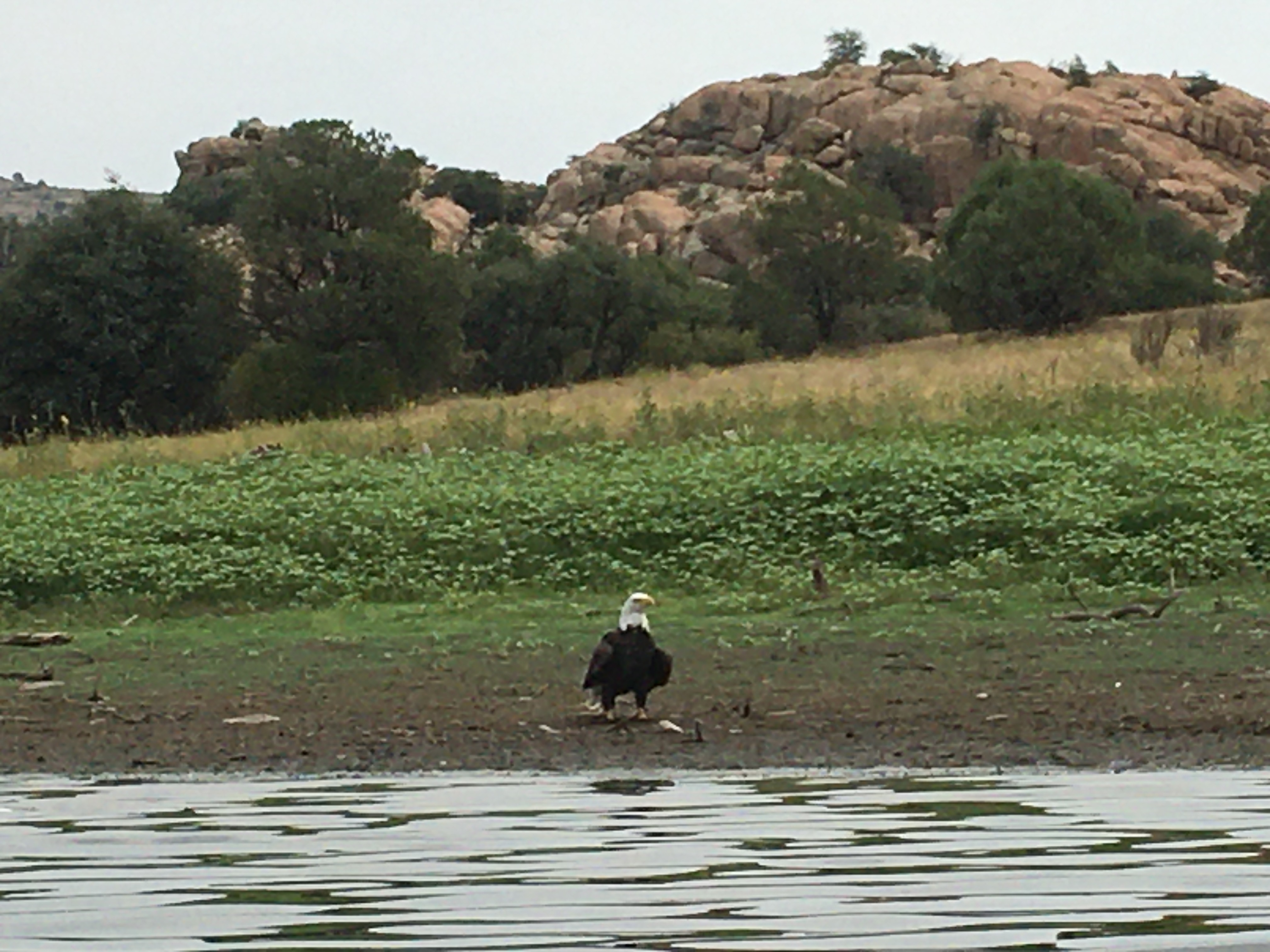 Photo of Watson Lake Park Campground | Roadtrippers