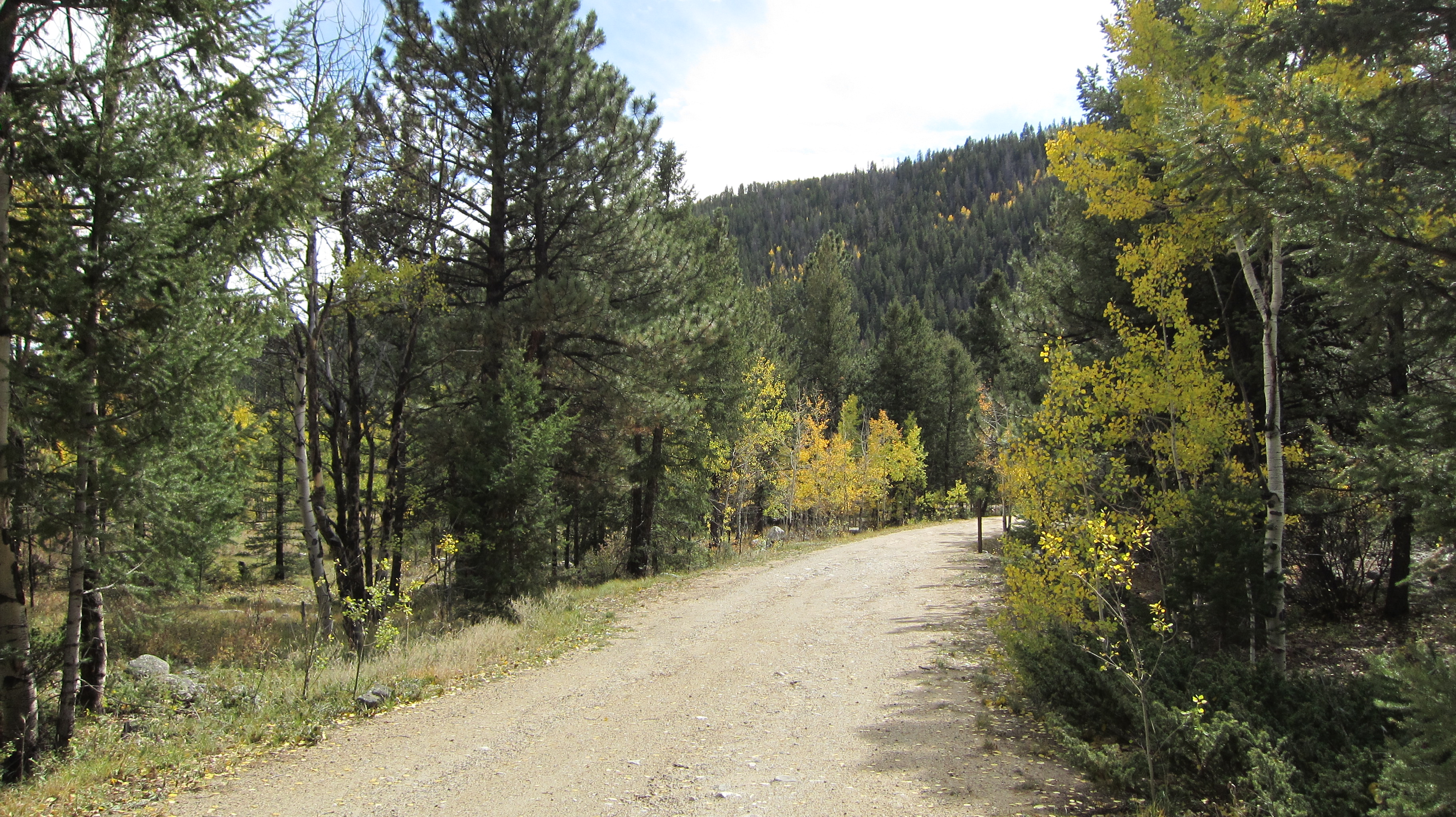 Angel of Shavano Campground Reviews updated 2026