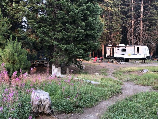 Diamond Lake Campground Reviews updated 2025