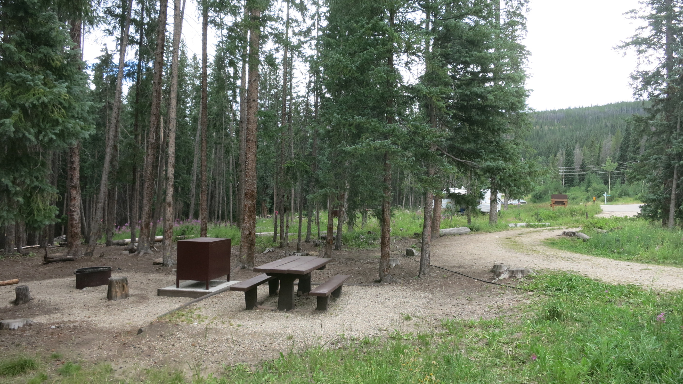 Idlewild Campground Reviews updated 2025