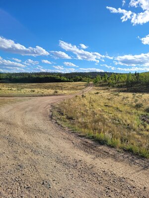 Lost Park Campground Reviews updated 2025