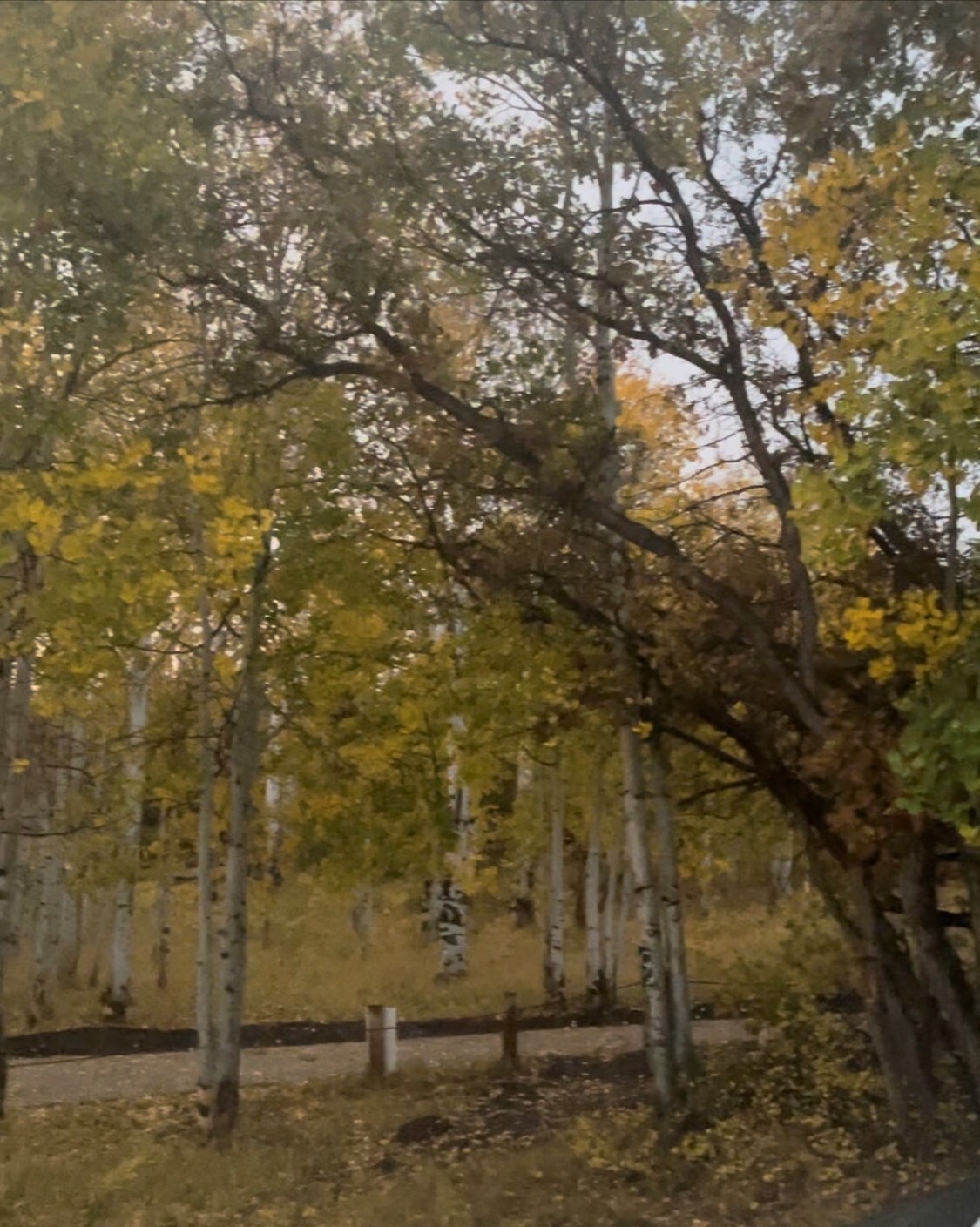 Mud Springs Campground Reviews updated 2026