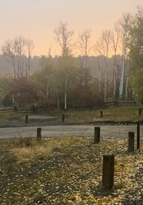 Mud Springs Campground Reviews updated 2026
