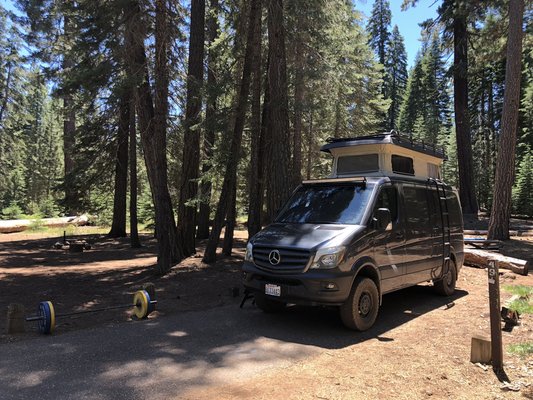 Almanor Campground Reviews updated 2026