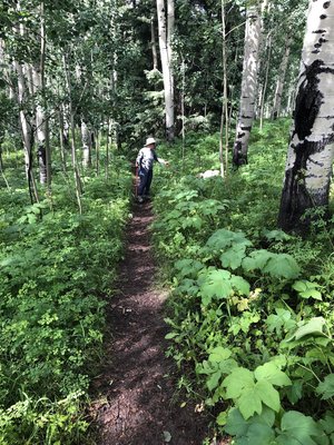 Silver Jack Campground Reviews