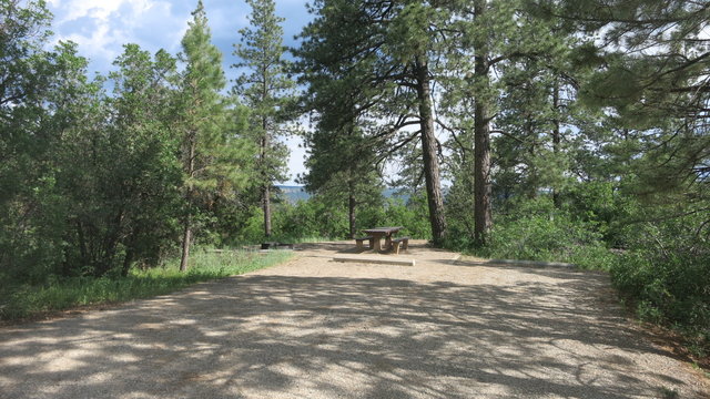 Target Tree Campground Reviews