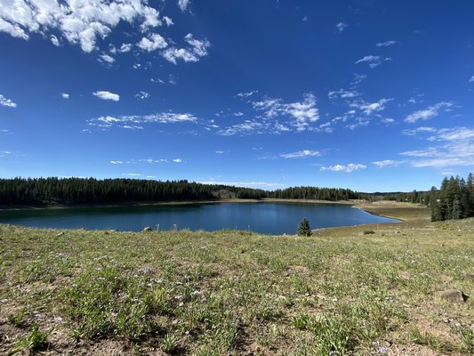 Ward Lake Campground Reviews updated 2025