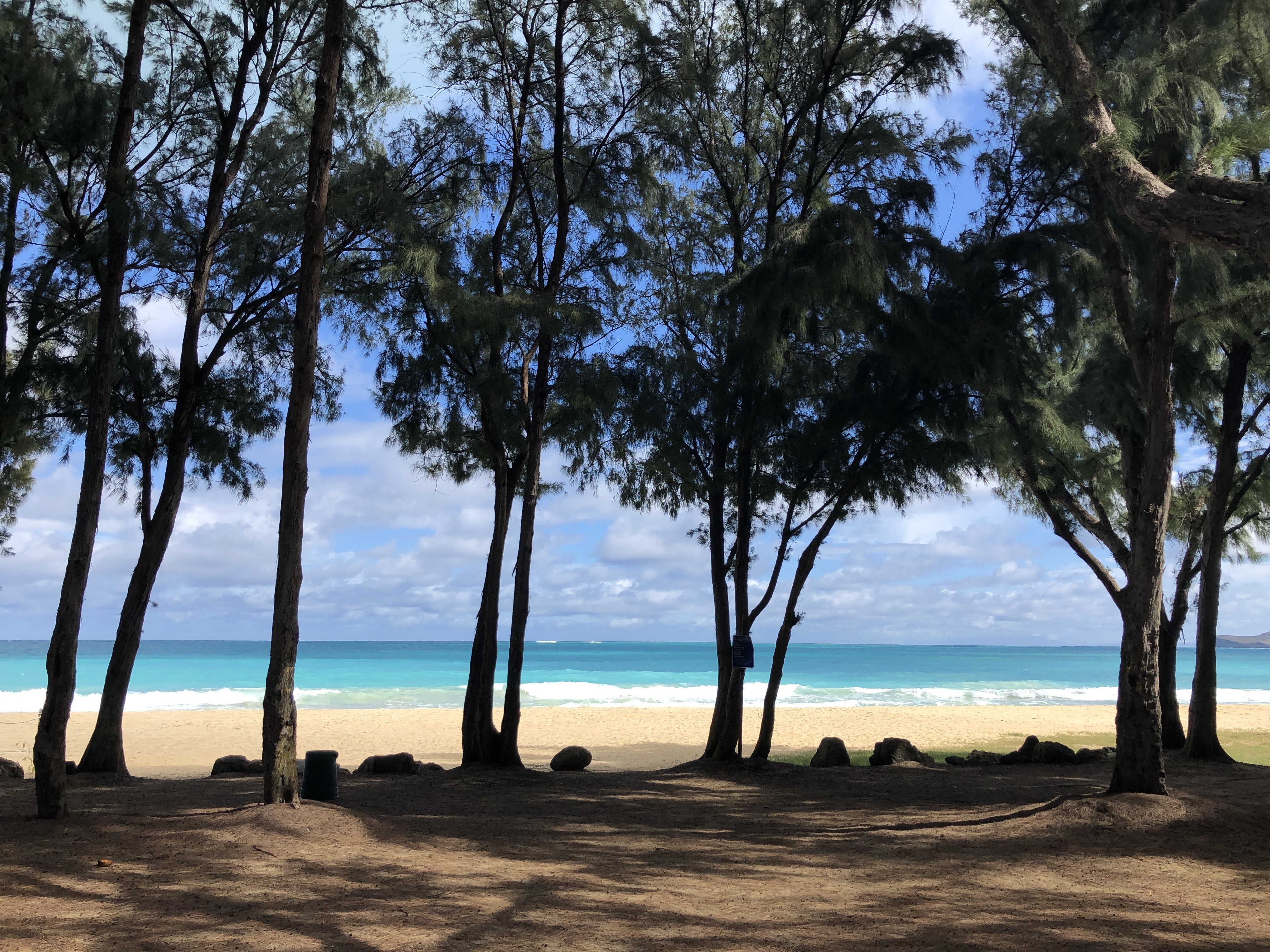 Bellows Field Beach Park updated 2026