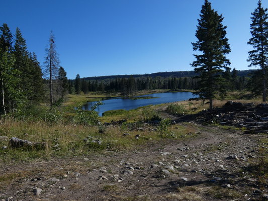 Middle Canjilon Lake Campground Reviews