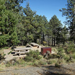 Capilla Peak Campground Reviews - Campendium