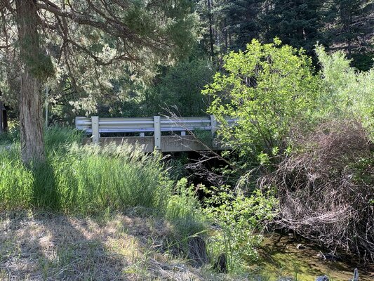 Capulin Campground Reviews updated 2025