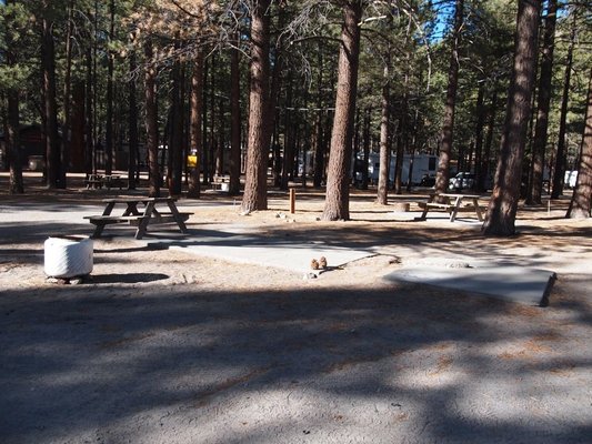 Pine Cliff Resort Reviews updated 2025