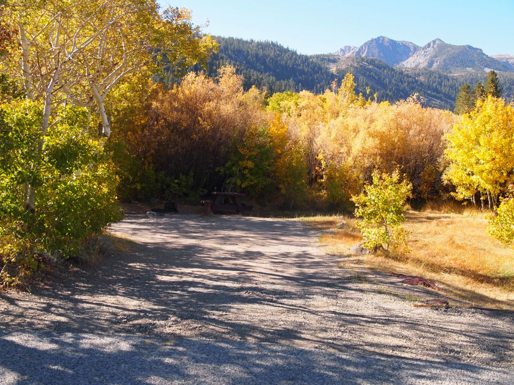 June Lake Campground Reviews updated 2025