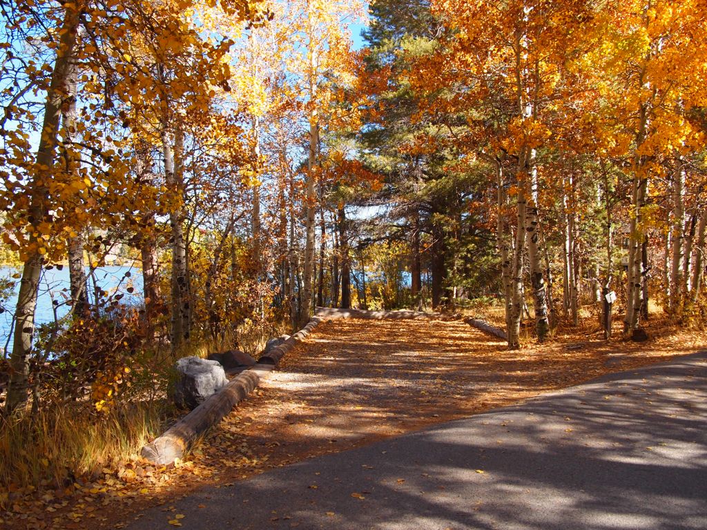 Gull Lake Campground Reviews updated 2025