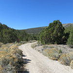 Clover Springs Campground Reviews - Campendium