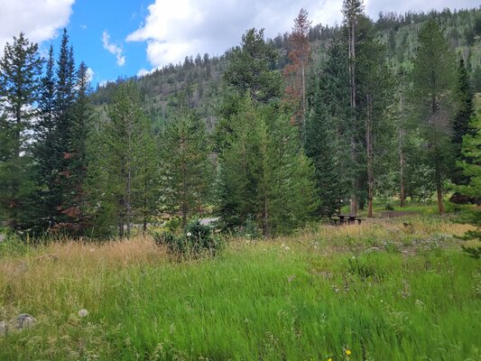 Cobblerest Campground Reviews updated 2024