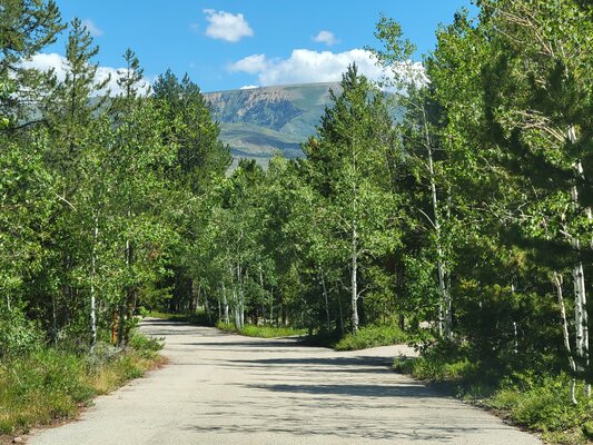 Currant Creek Campground Reviews updated 2025