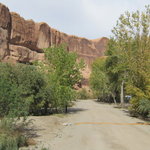 Goose Island Campground Reviews - Campendium