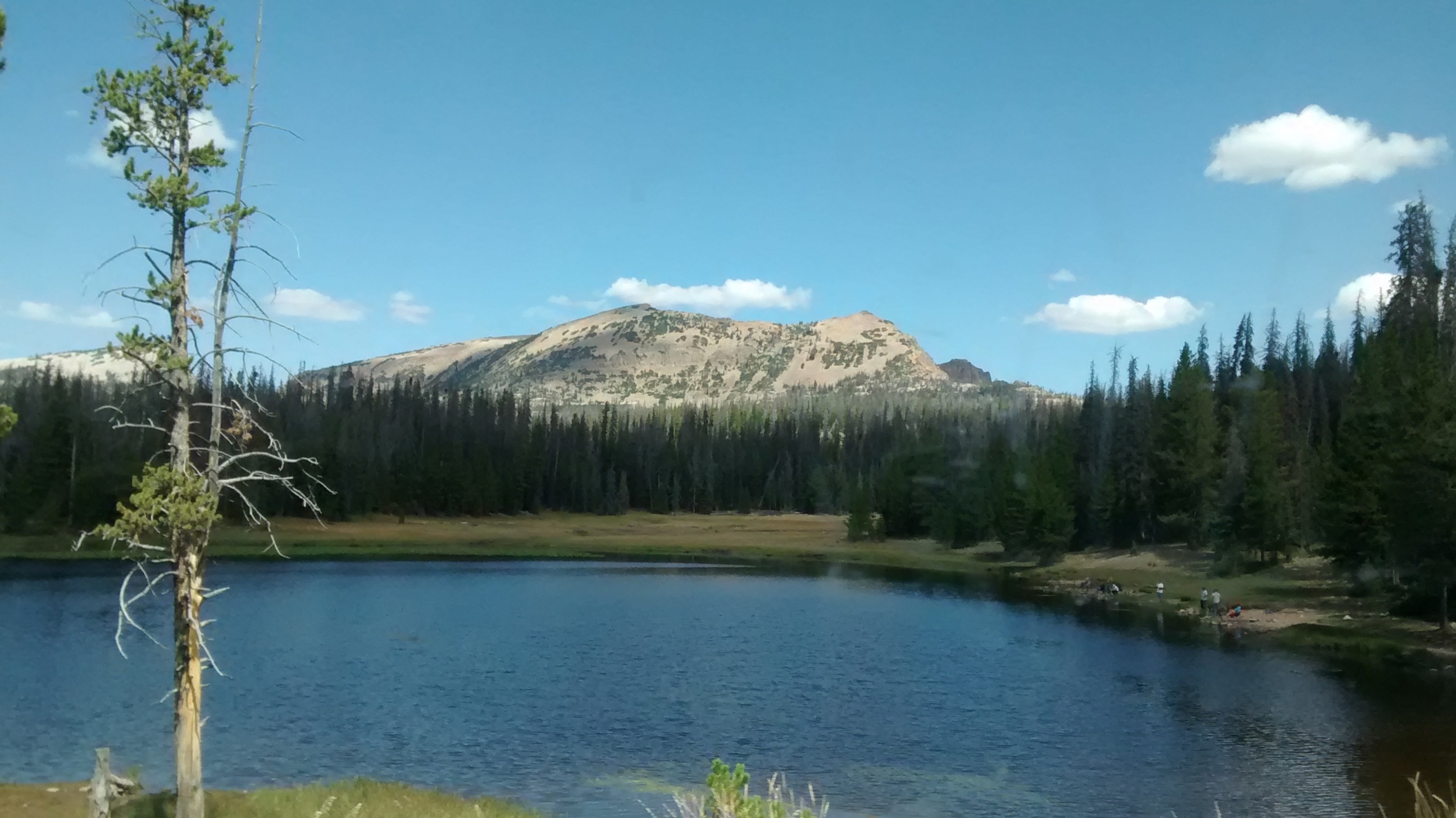Lilly Lake Campground Reviews updated 2025