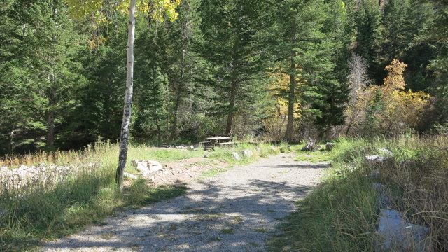 Loop Campground Reviews updated 2026