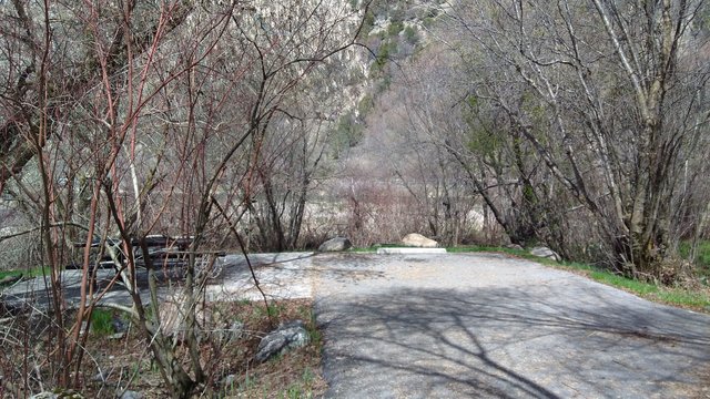 Spring Hollow Campground Reviews updated 2025