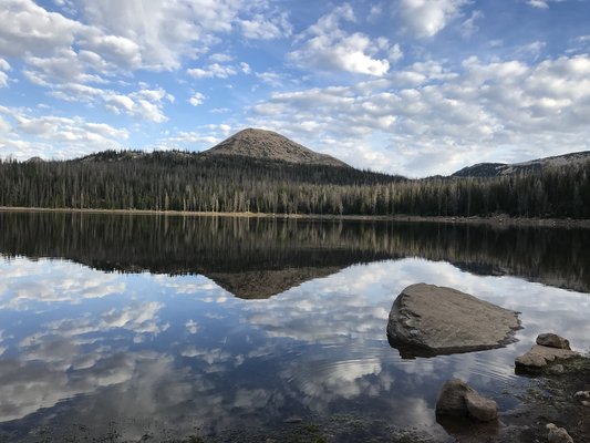 Trial Lake Campground Reviews updated 2025