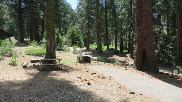 Crystal Springs Campground Reviews updated 2025