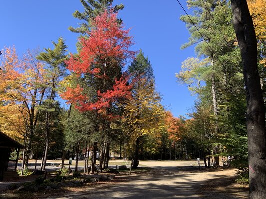 Spacious Skies Seven Maples Reviews & Reservations updated 2025